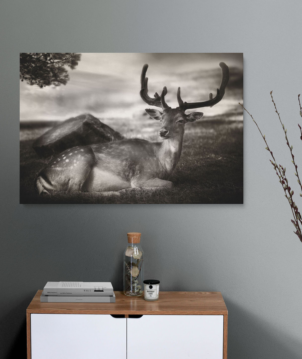 Resting Bambi canvas-taulu | Dekoa