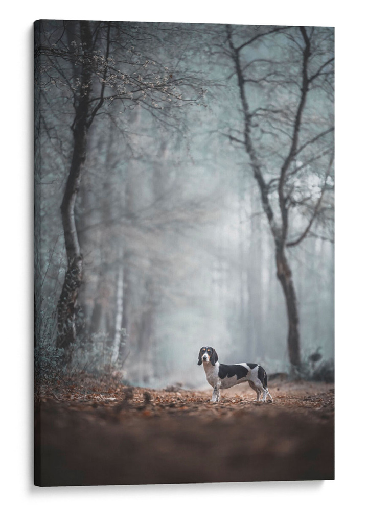 Come Forth Into the Light of Things, Let Nature Be Your Teacherq ...